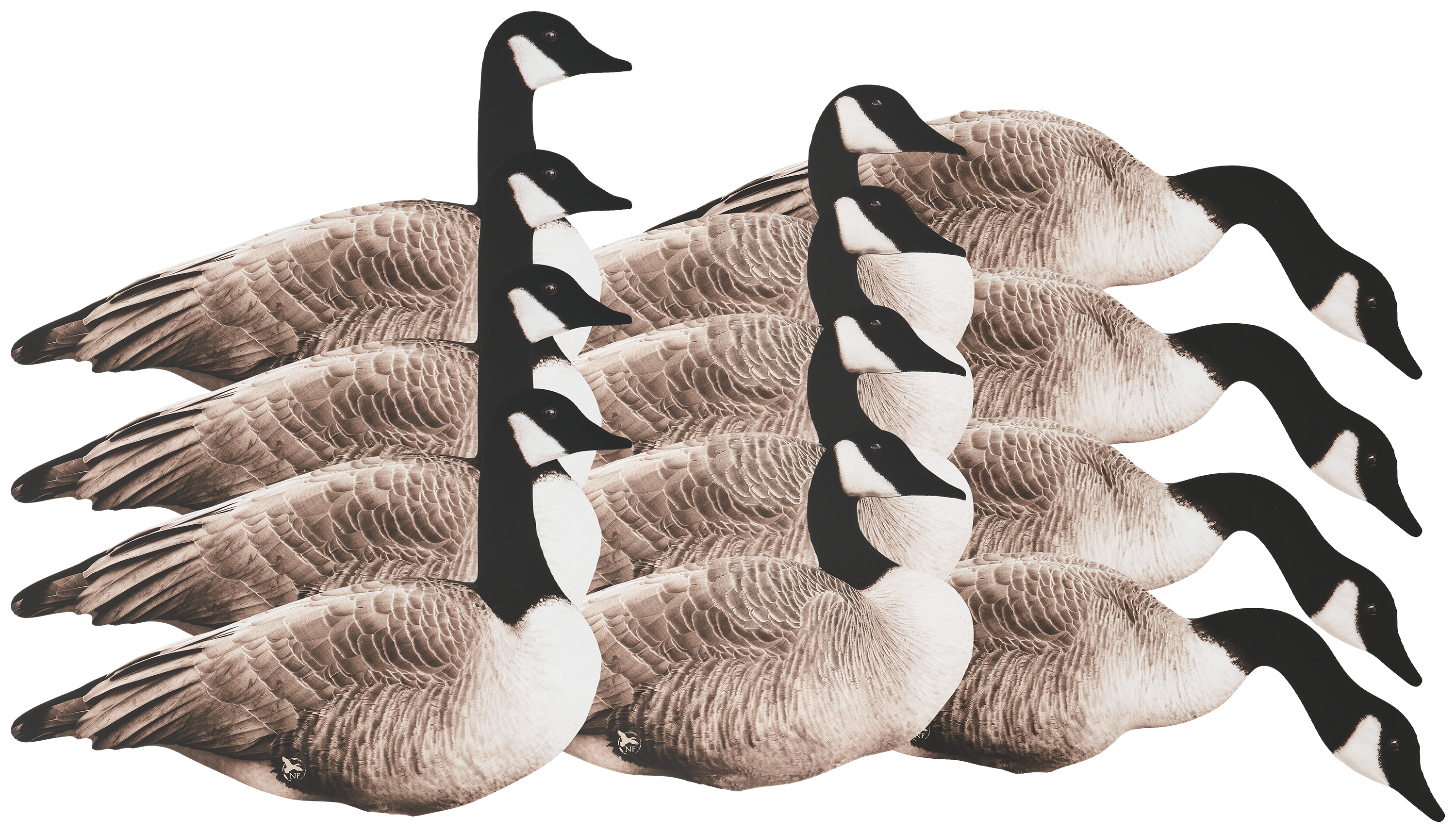 Northern Flight Canada Goose Silhouette Decoys | Cabela's